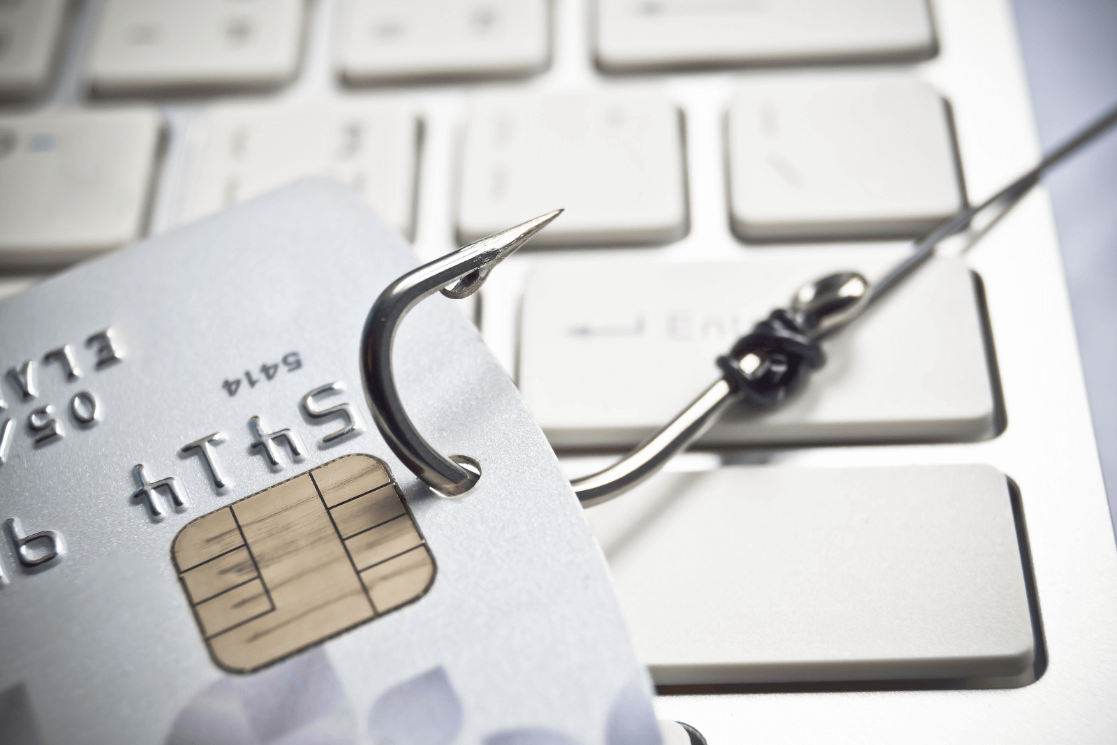 Watch Out For Phishing Scams from the “SBA” - Newlee